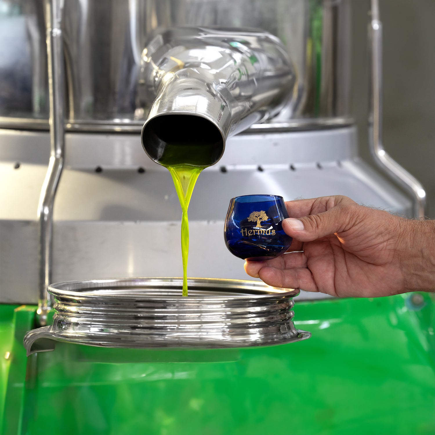 What is polyphenol and why is it so important? – Hermus Olive Oil