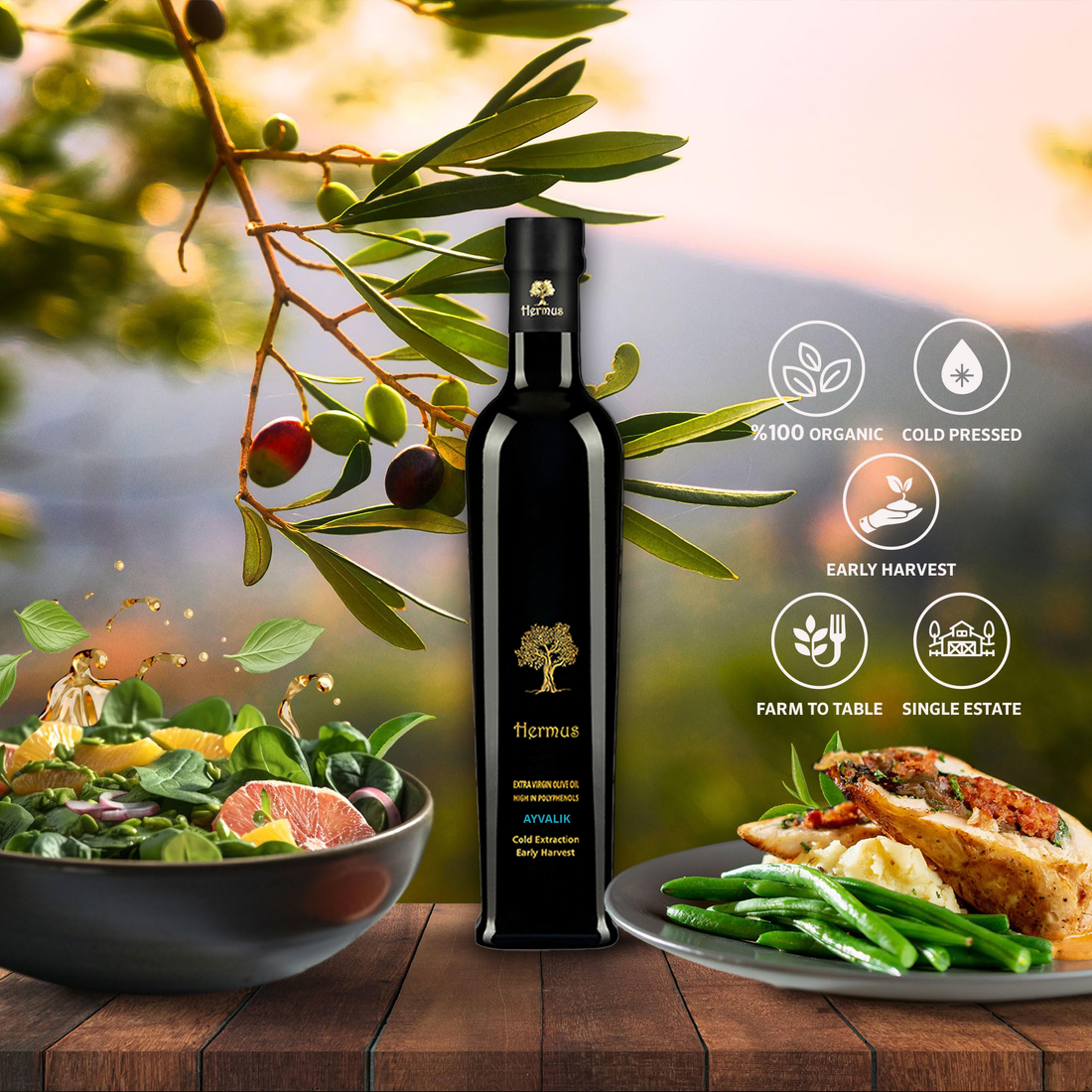Products – Hermus Olive Oil
