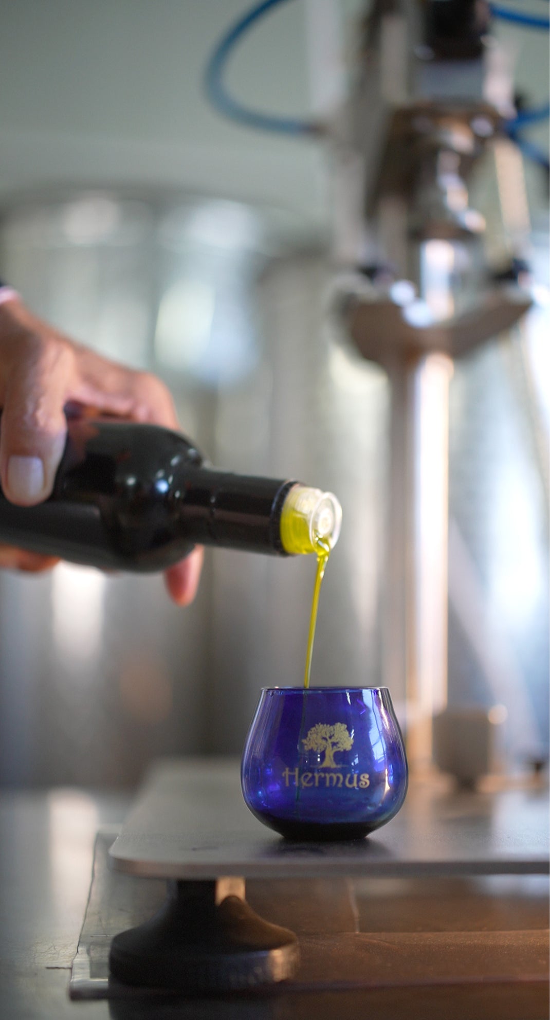 Our Olive Oil – Hermus Olive Oil